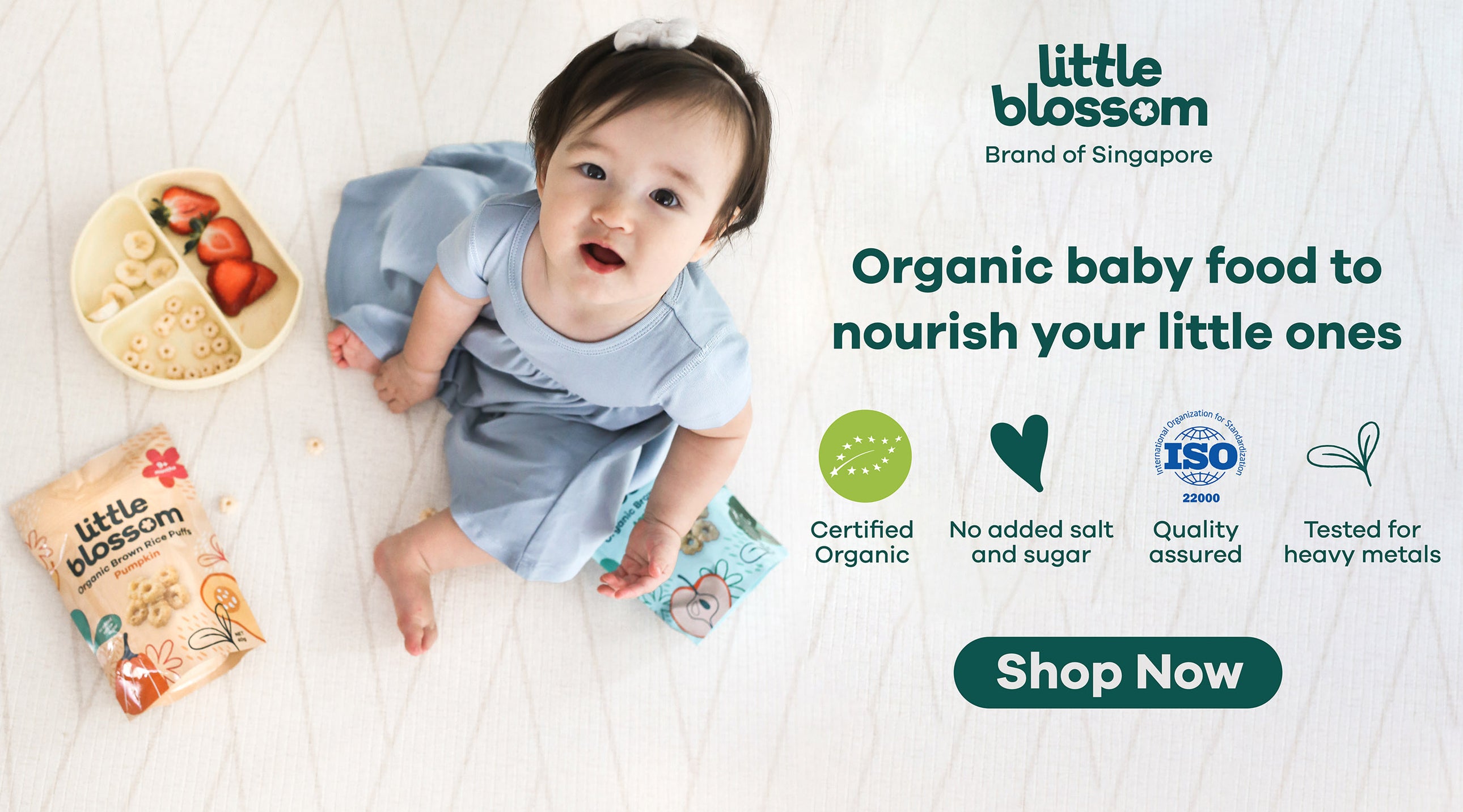 Little Blossom Organic Baby Food — Little Blossom Philippines